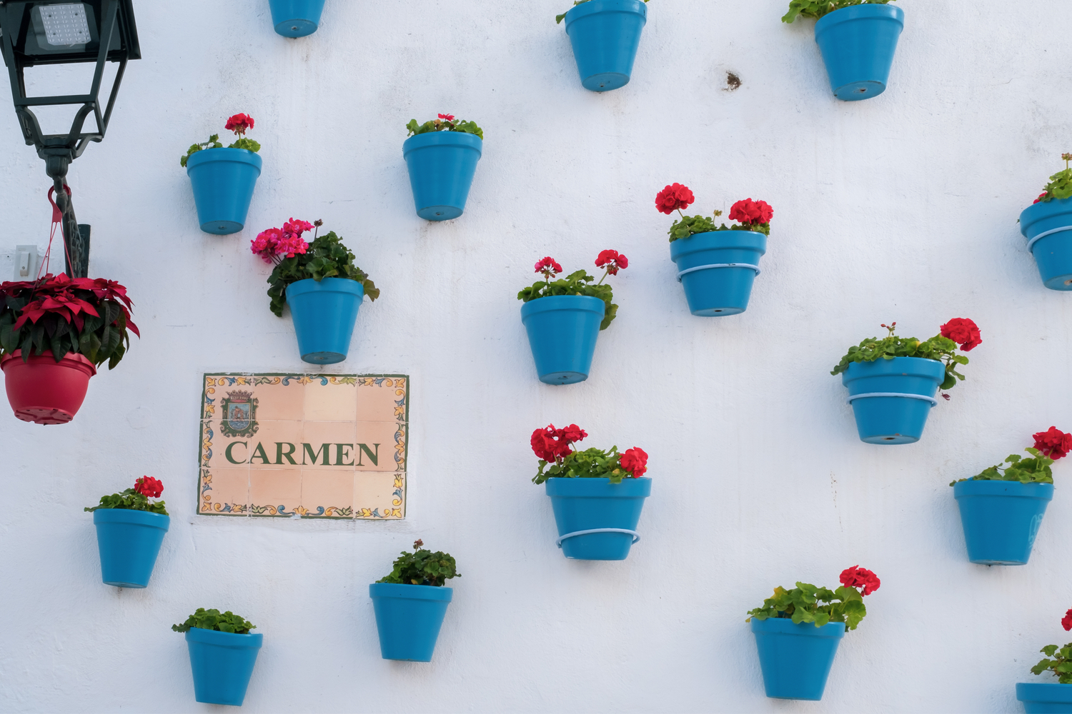 Marbella in Spring – the best of all worlds | MPDunne Properties