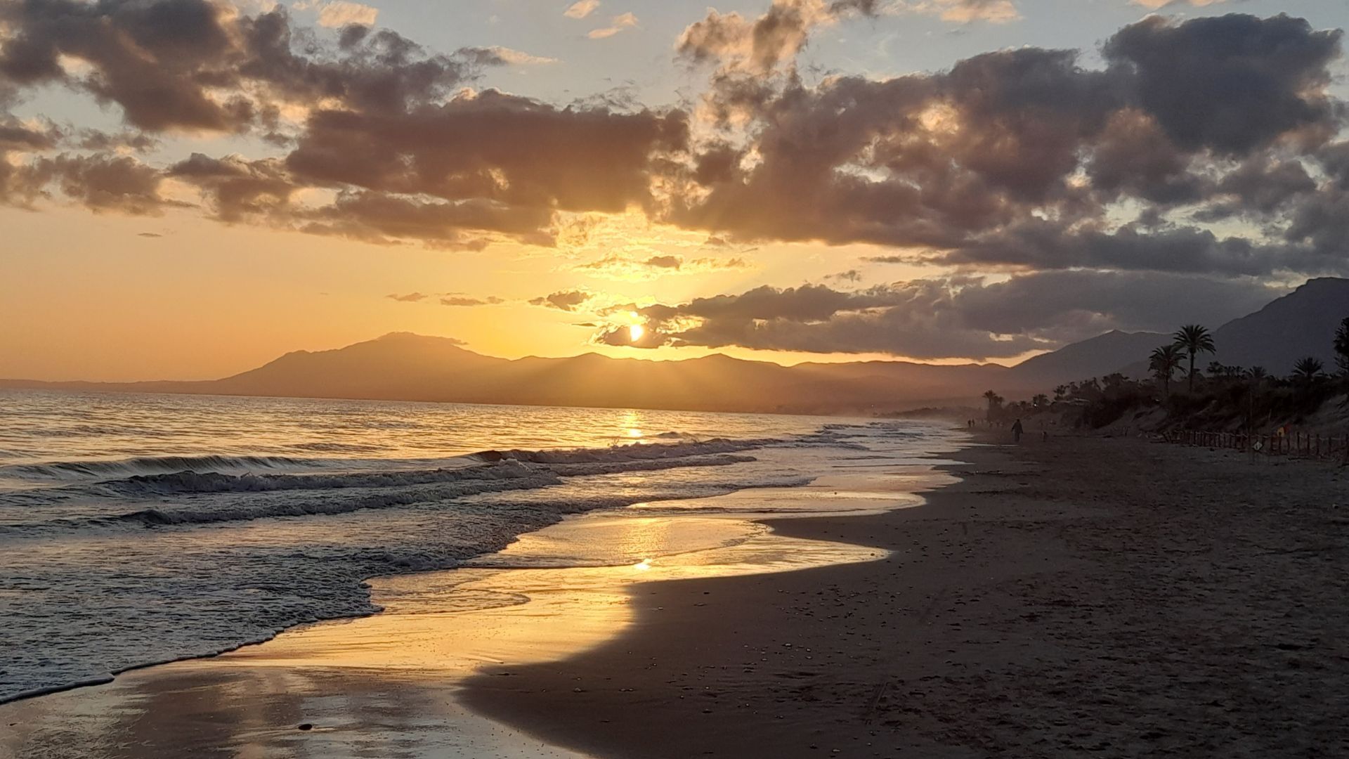 Guide to Marbella Beaches: Best Beaches | MPDunne